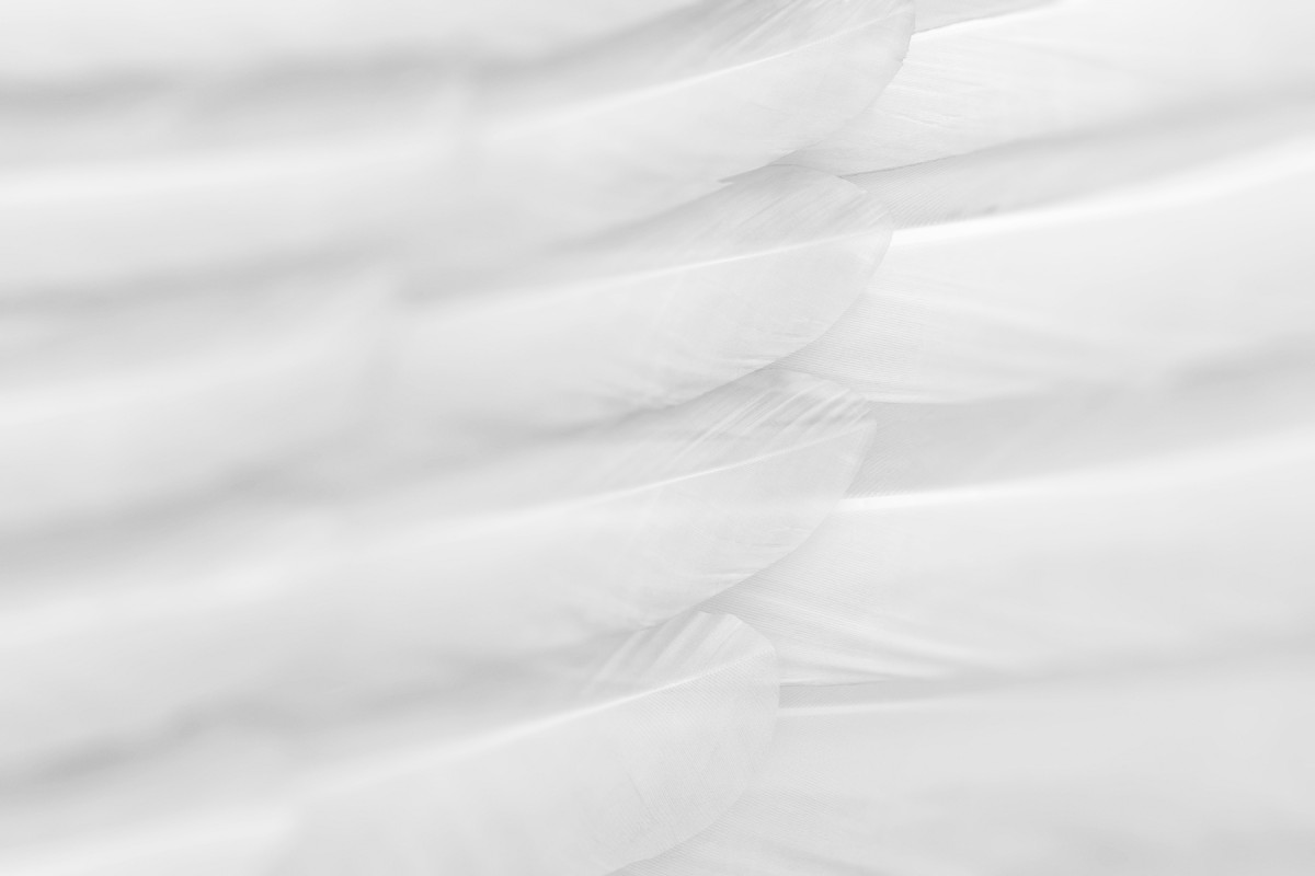 Events | The Inner Temple